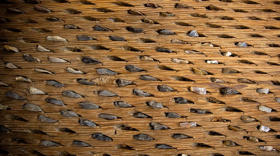 Archaeobotany Lab | Department of Anthropology