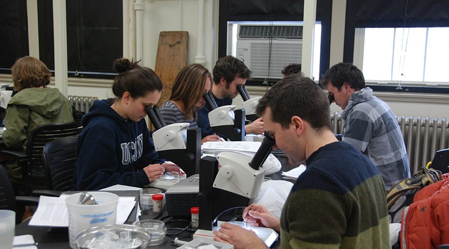 Archaeobotany Lab | Department of Anthropology