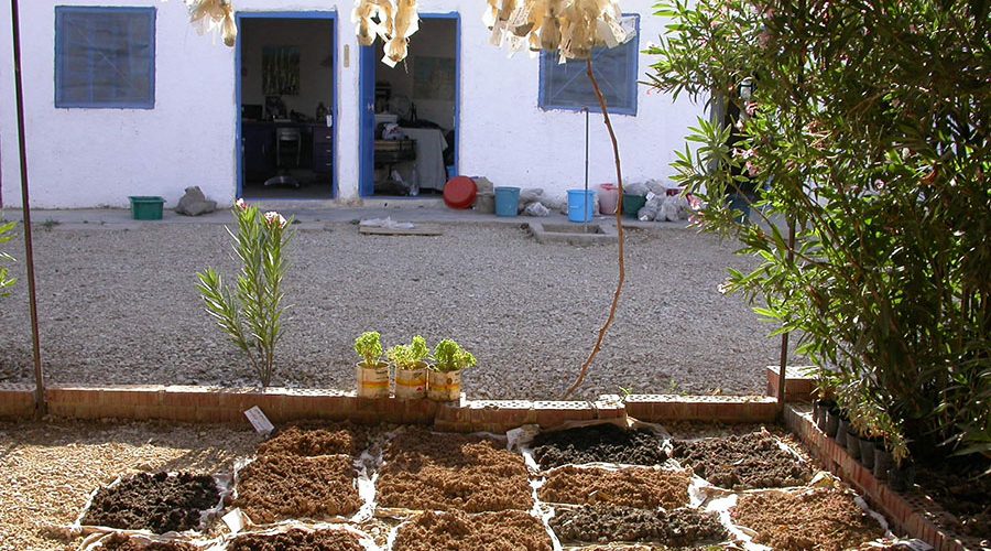 Archaeobotany Lab | Department of Anthropology